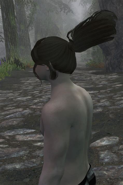 Help Error With Nifmerge Skyrim Technical Support LoversLab