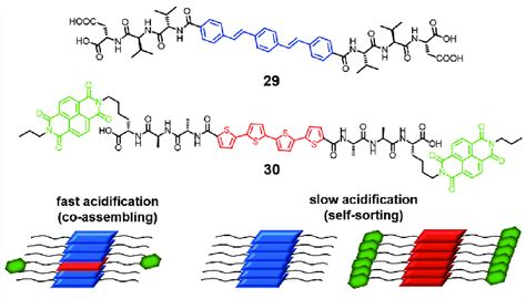 Molecular Structures Of Gelators 29 And 30 Their Selfassembly Is Download Scientific Diagram