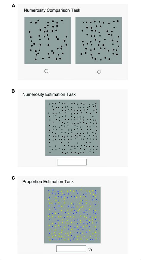 A An Illustration Of The Numerosity Comparison Task B An Download Scientific Diagram