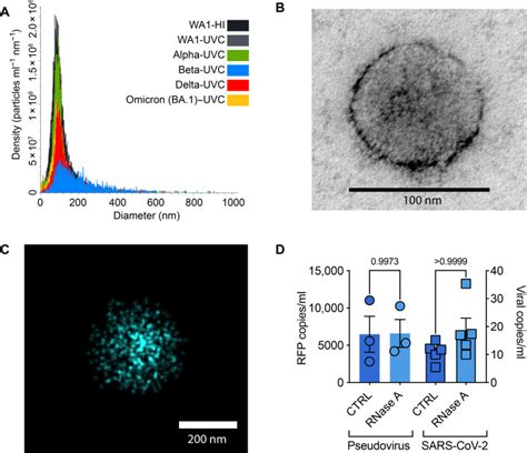 Ultrasensitive Detection Of Intact Sars Cov 2 Particles In Complex Biofluids Using Microfluidic