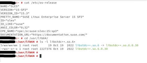 Sybase Issue Segmentation Fault During Suse Os Up Sap Community