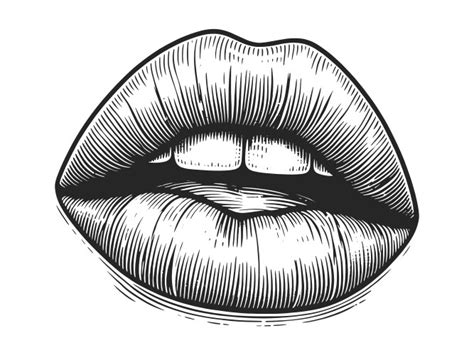 Engraving Of Wallet Royalty Free Vector Image VectorStock