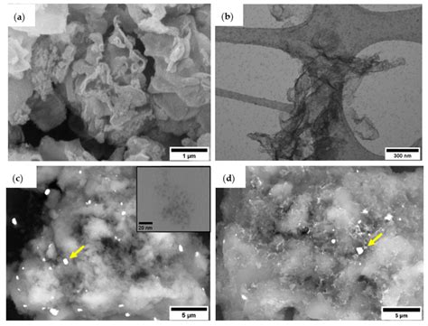 A Sem And B Tem Micrographs Of The G C3n4 Nss Bse Hrsem Of The C