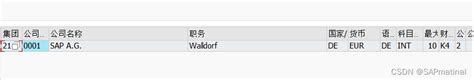 sap abap 动态选择屏幕 sap screen dynmic text csdn博客