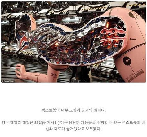 섹스 로봇 내부 사진  인스티즈 Instiz 이슈 카테고리