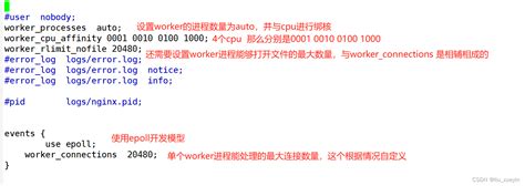 Nginx网站服务详解（设置并发数、实现不同虚拟主机等）nginx并发数配置 Csdn博客