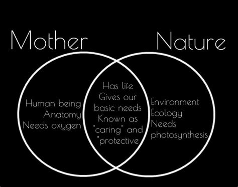 Brainly Join Now What Is The Rule For The Reflectionwill Mark Brainliest Ive Dedicated