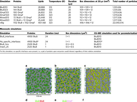 Summary Of Cg Md And Mesoscale Simulations Performed Cg Md Simulations