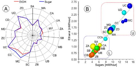 Relationship Between Ethanol Production And Sugar Utilization Of