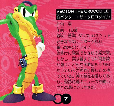 Vector The Crocodile Gender Male Age Years Sonic The Hedgeblog