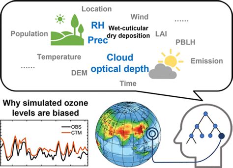 Diagnosing The Model Bias In Simulating Daily Surface Ozone Variability Using A Machine Learning