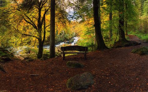 Bench Forest Autumn Macbook Air Wallpaper Download Allmacwallpaper