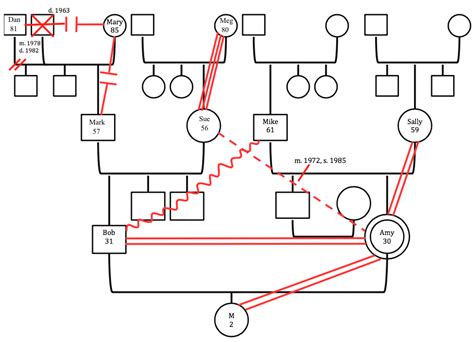 Achieving Relational Dynamics In Genogram Gojs Northwoods Software Achieving Relational Dynamics In Genogram Gojs Northwoods Software