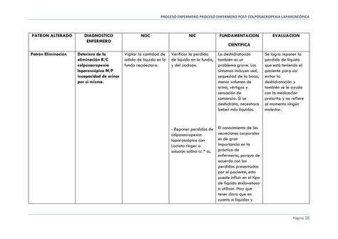 Proceso Enfermero Pae Post Colposacropexia Laparoscópica Pdf