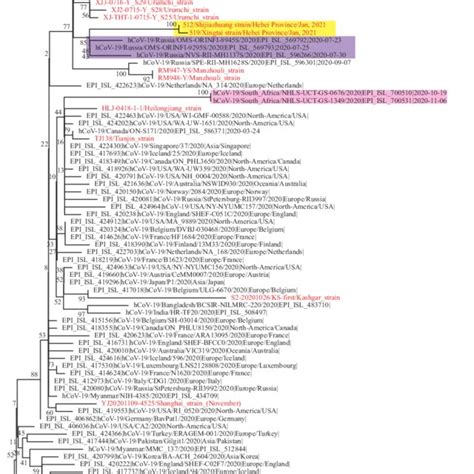 Phylogenetic Tree Based On The Full Length Genome Sequences Of The