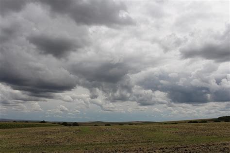 Premium Photo A Field With A Cloudy Sky