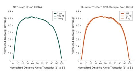 Nebnext® Ultra™ Ii Rna Library Prep Non Directional Maximizing