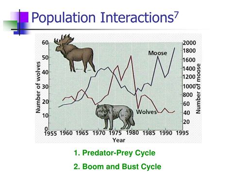 PPT Chapter Ecosystem Structure And Function PowerPoint Presentation ID
