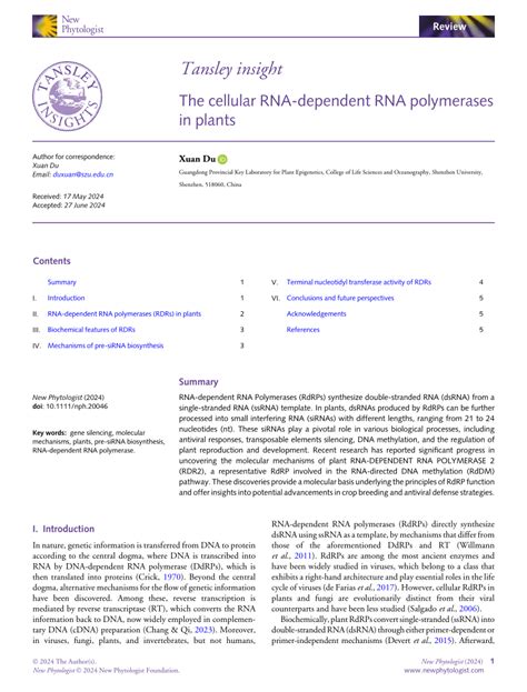 The Cellular Rna‐dependent Rna Polymerases In Plants