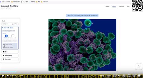 Segment Anything（图片分割大模型）segment Anything识别文档 Csdn博客