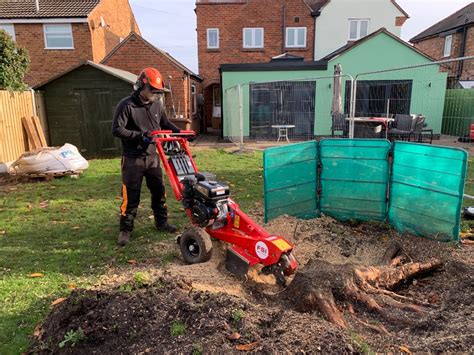Stump Removal Broadleaf Midlands Tree Care