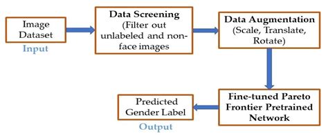 Human Gender Classification Using Transfer Learning Via Pareto Frontier