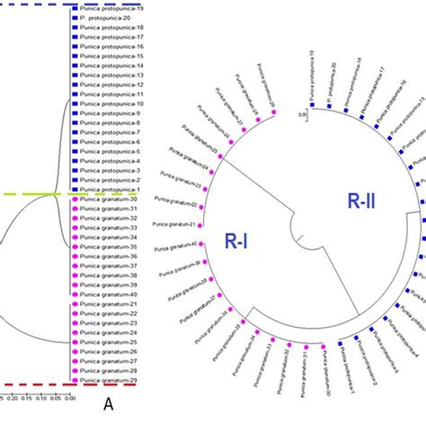 Inter Species Phylogenetic Relationship Identified Through Sdspage