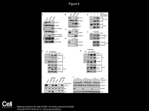 Volume 54 Issue 3 Pages May 2014 Ppt Download