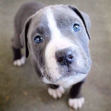 Welcome To Cute Queue On Tumblr