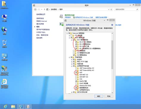 如何安装IIS 免费试用 华创软件
