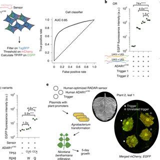 Expanding And Enhancing RADAR A Effect On RADAR Output By Varying The Download Scientific