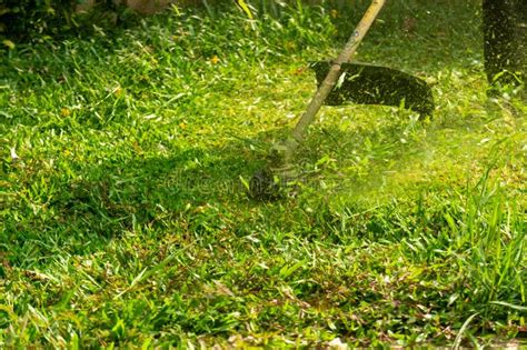 Grass Trimming Stock Image Image Of String Motion 344811411