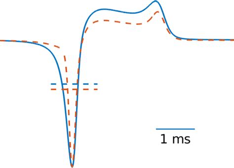 Examples Of Eap Simulated Waveforms The Pyramidal Cell Blue Has A Download Scientific