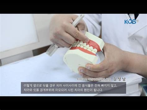 올바른 칫솔질 방법 한국가족보건협회