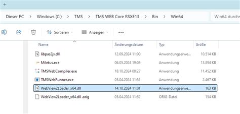 Enabling Webdesigner Crashes Delphi Ide Tms Web Core Tms Support Center