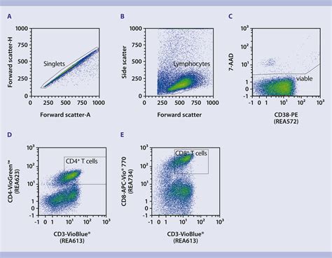 T Cell Activation T Cell Differentiation Miltenyi Miltenyi Biotec