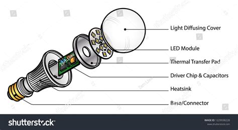 Exploded Diagram Led Light Emitting Diode Stock Vector Royalty Free 1229938228 Shutterstock