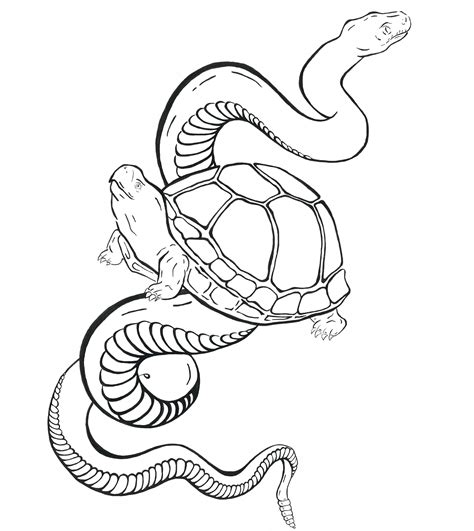 Gopher Tortoise And Rattle Snake Behance Gopher Tortoise And Rattle Snake Behance