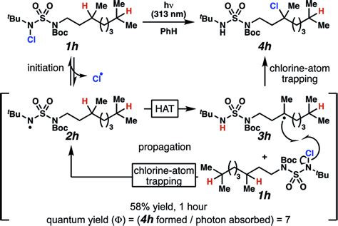 Chlorination Proceeds Through A Light Initiated Chain Propagation Download Scientific Diagram