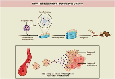 🔔 Molecular Interactions Between The Drug And Specific Proteins On The