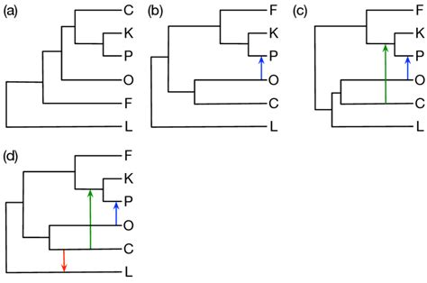 Maximum Pseudo Likelihood Inference Results Using Bi Allelic Marker Download Scientific Diagram