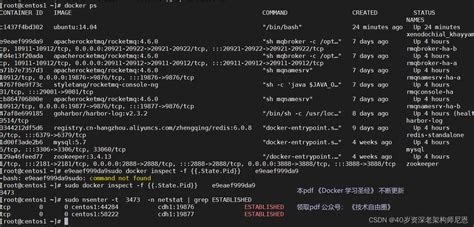 docker圣经：大白话说docker底层原理，6w字实现docker自由 docker 学习圣经 csdn博客