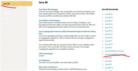 安装jdk以及配置环境（保姆级） 小迷糊的指引 博客园