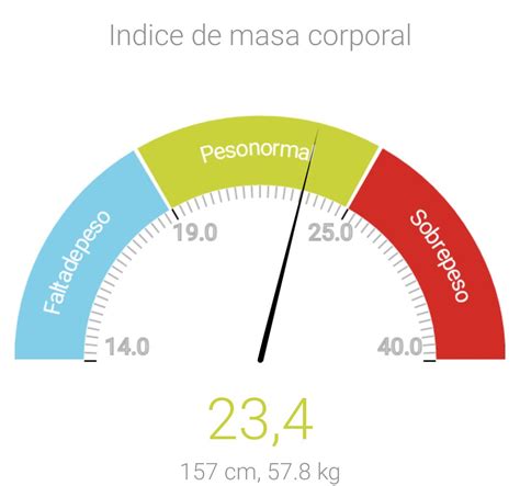 Colorful Speedometer Chart