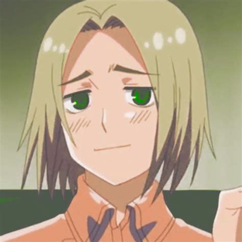 Poland Hetalia Icon 🌸 Polonia Pochi