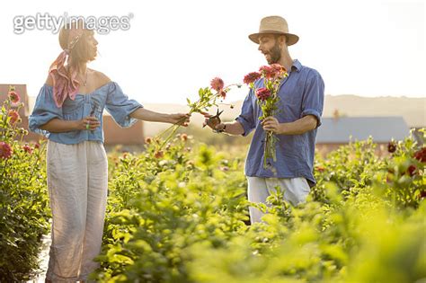 Man and woman pick up flowers at farm outdoors 이미지 1424851906 게티이미지뱅크