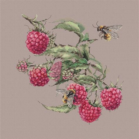 Cross Stitch Raspberry Cross Stitch Patterns Design For Embr Inspire Uplift Point De Croix