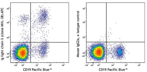 Apc Anti Human Ig Light Chain λ Ig Light Chain Lambda Mhl 38