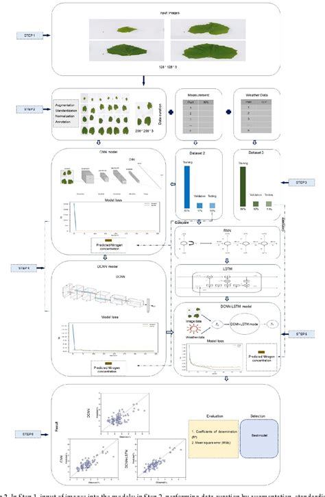 figure 3 from using a hybrid neural network model dcnn lstm for image