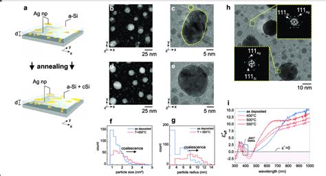 Optical Properties And Morphology Of Ag Si Based Enz Materials By Download Scientific Diagram